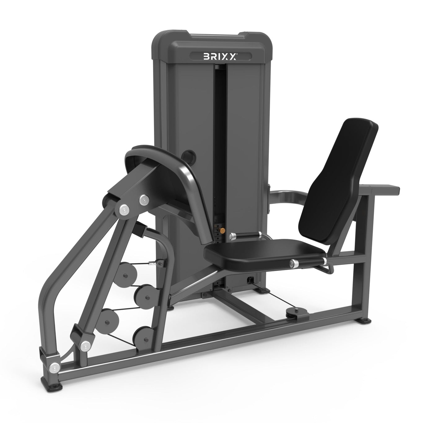 BRIXX Commercial Pin Loaded Leg Press / Calf Extension - Platinum Seri ...